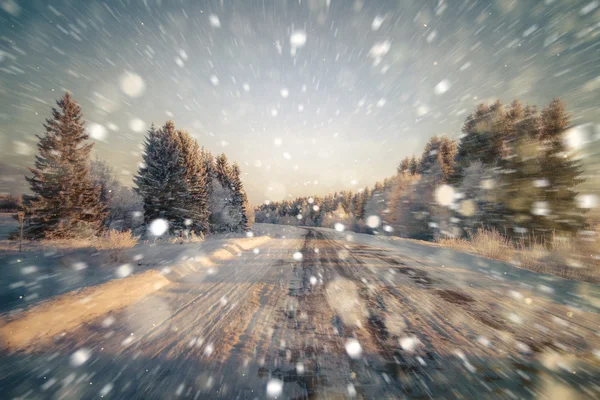 Winter road with trees - Stock Image - Everypixel