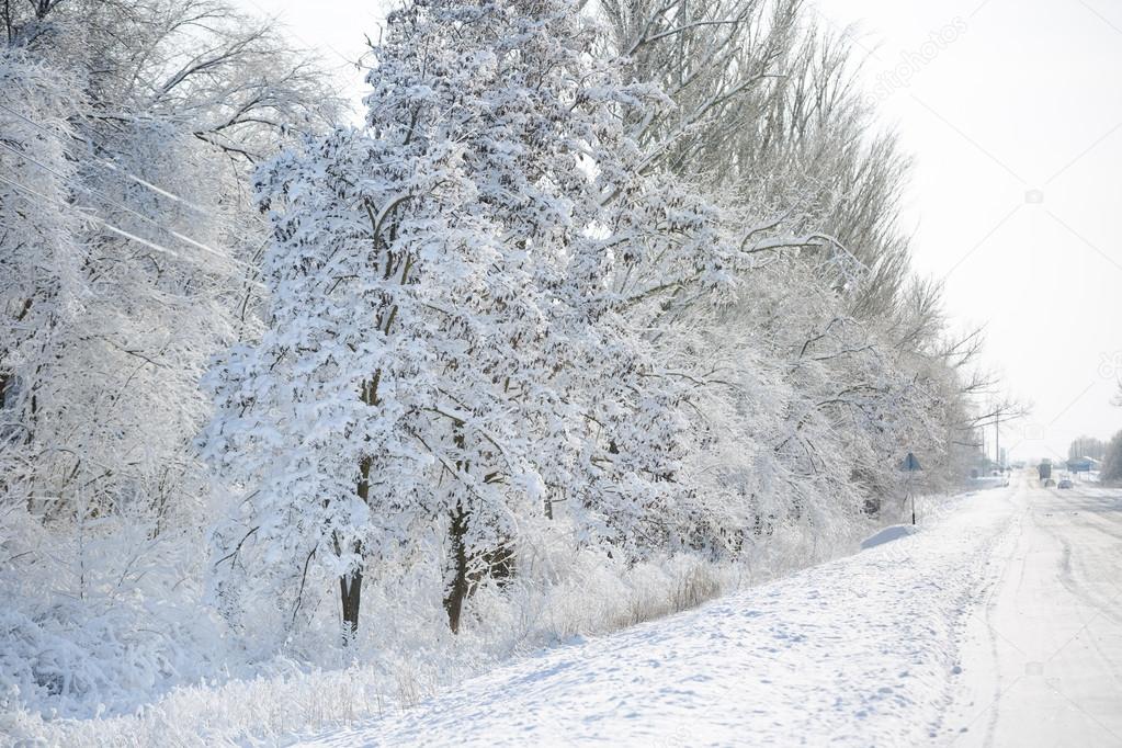 Winter road with trees Stock Photo by ©Scharfsinn 112184126