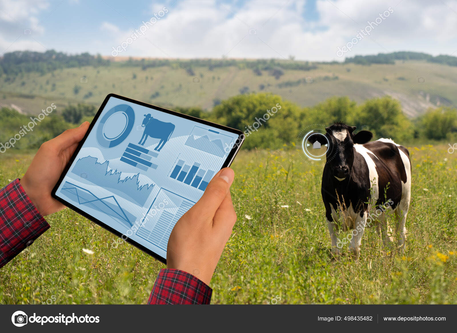 Farmer with tablet computer inspects cows at a dairy farm — Stock Photo ...