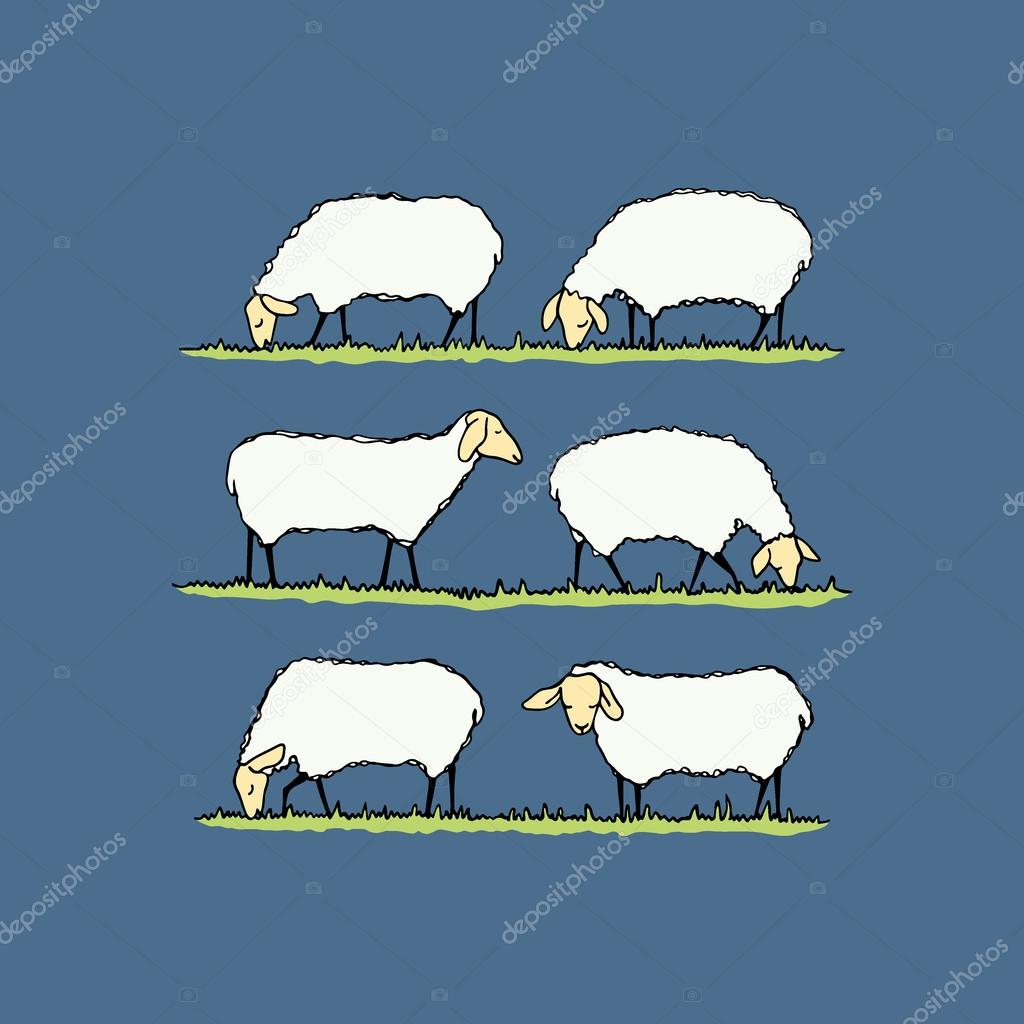 Sheep herd illustration Stock Vector Image by ©Ezhevica #121386464