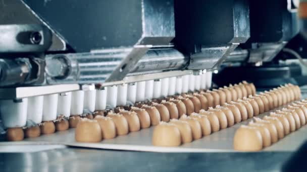 2,679 Food processing packaging Videos, Royalty-free Stock Food ...