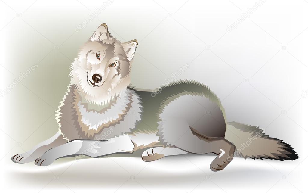 Wolf Lying Down Cartoon