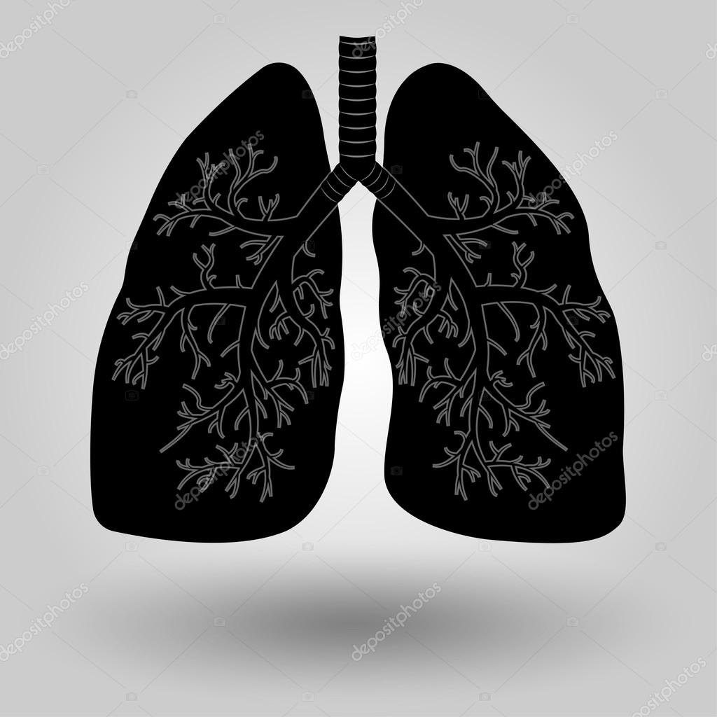 Ikon paru-paru manusia Vektor Stok oleh ©z0504574832.gmail.com 106533014