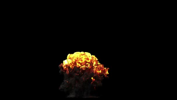 Powerful Explosion with alpha channel — Stock Video © DigitalDaymos ...