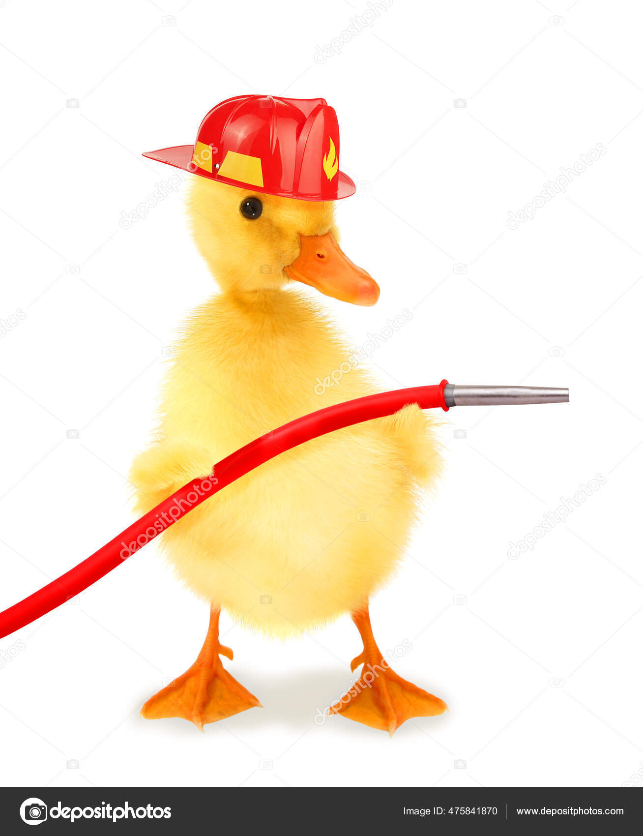 Cute Cool Duckling Chef Duck Cook Wooden Cooking Ladle Funny Stock ...