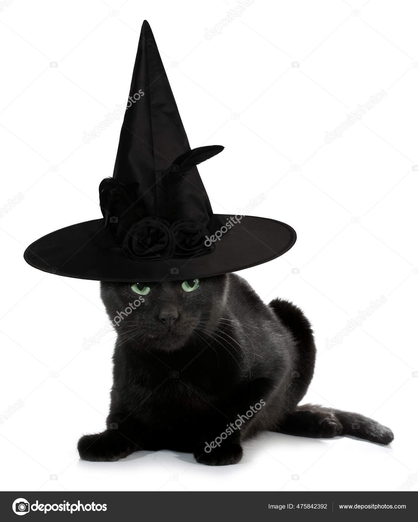 Black Cat Witch Scary Spooky Hat Funny Conceptual Image Stock Photo by ... Black Cat Witch Scary Spooky Hat Funny Conceptual Image Stock Photo by ...