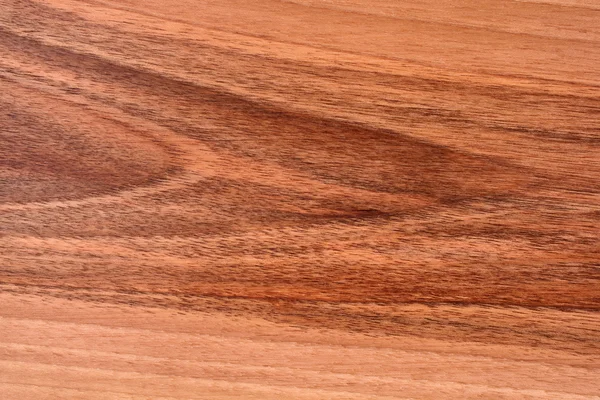 Noyer bois images libres de droit, photos de Noyer bois | Depositphotos