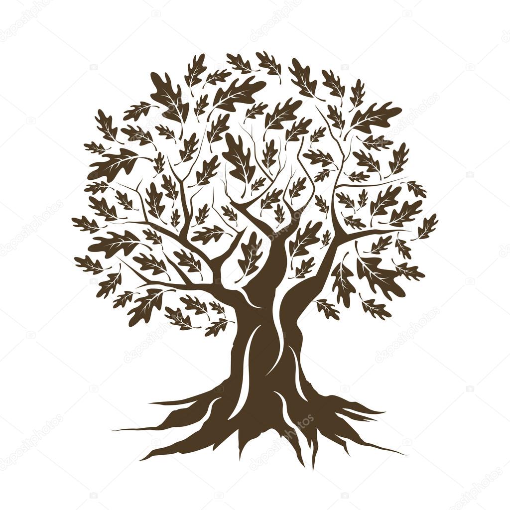 Oak Tree Outline Image