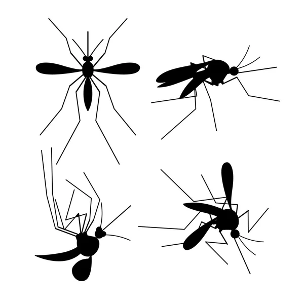 Dead mosquito Vector Art Stock Images | Depositphotos