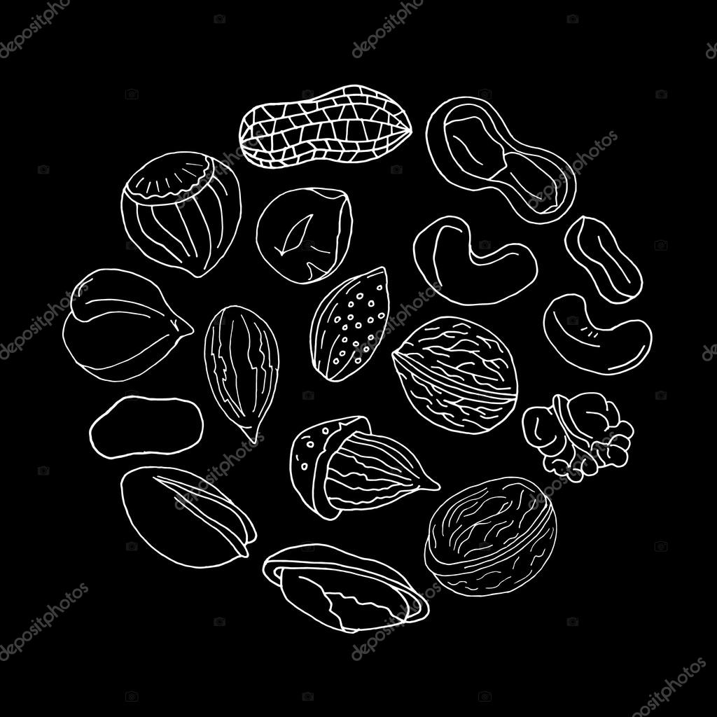 Walnut set. Walnut collection. Nuts set. Walnut set. Walnut collection ...