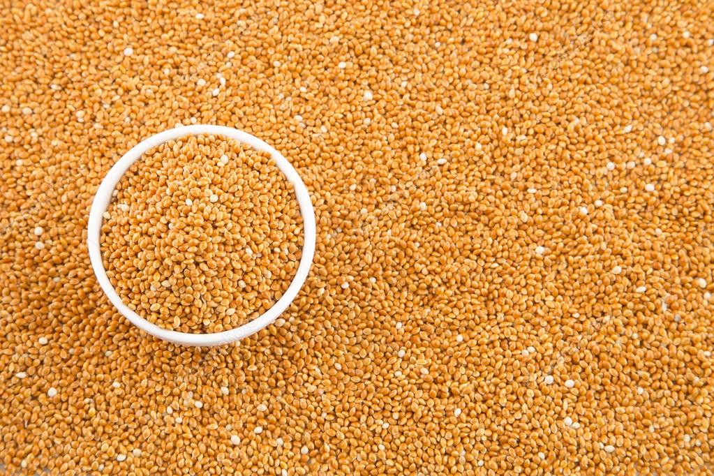 Millet cereal grains with container — Stock Photo © Luisecheverriurrea ...