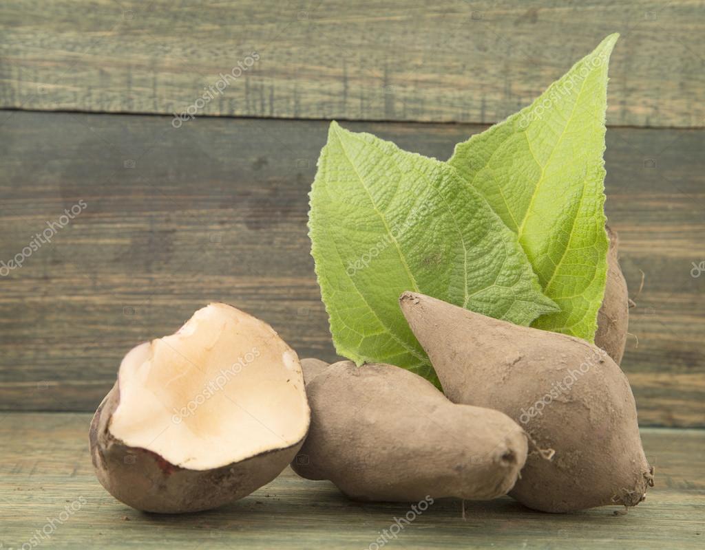 raíces y hojas de yacon fresco 2024