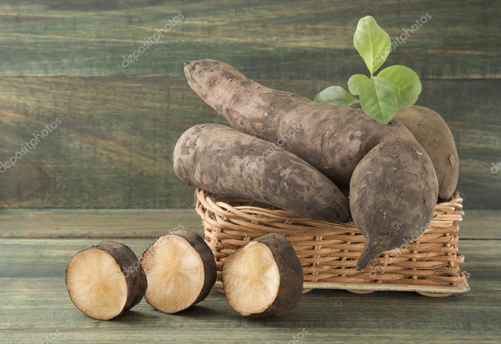 Yacon es un tubérculo cultivado en zonas cálidas y templadas de la ...