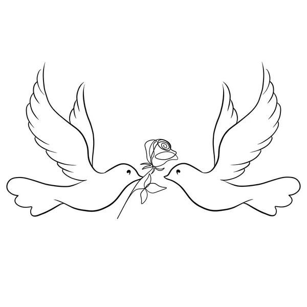 Dove with rose imágenes de stock de arte vectorial | Depositphotos