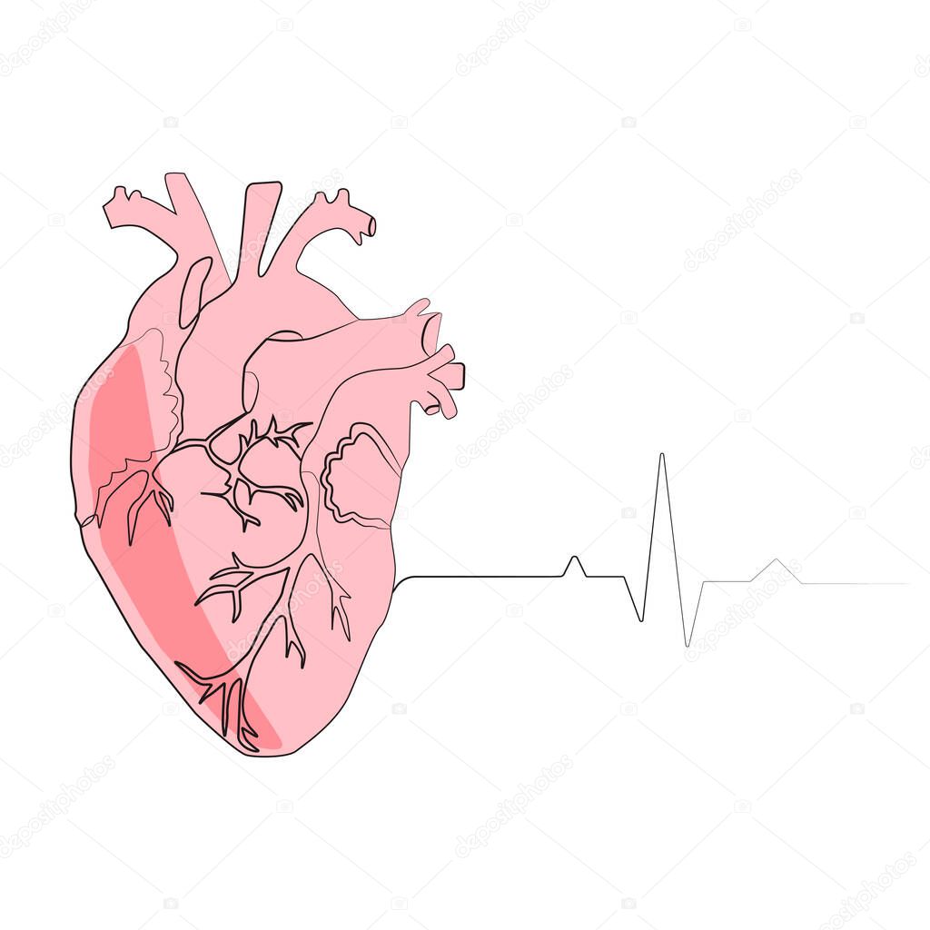 Esbozo de arte de l nea del coraz n humano, ilustraci n vectorial 2024
