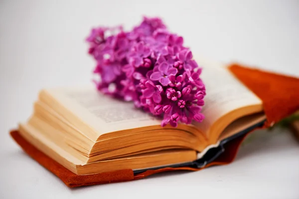 Comprehensive book, on the pages of lilac - Stock Image - Everypixel