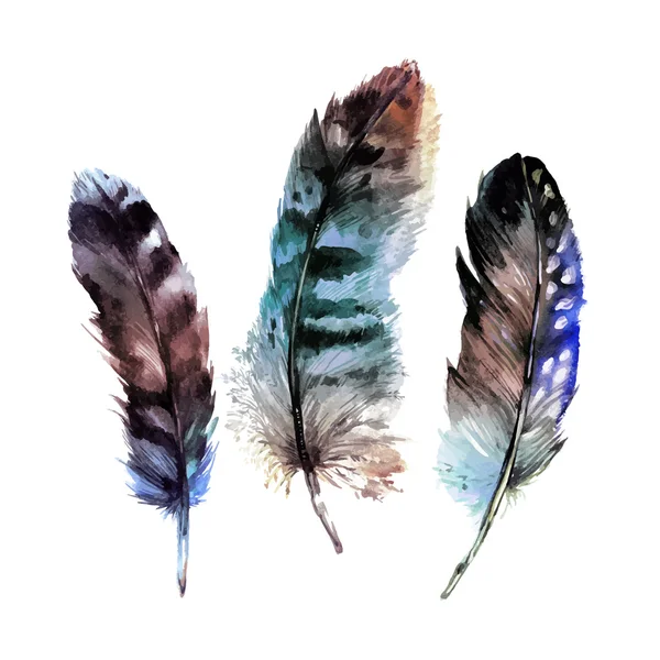 Colorful bird feather from wing isolated. Watercolor background set ...