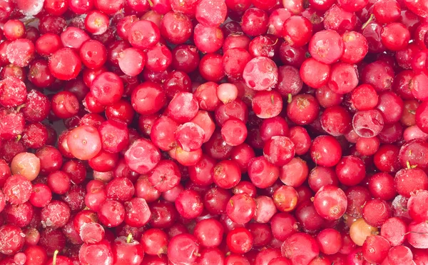 Cranberry processing Stock Photos, Royalty Free Cranberry processing ...