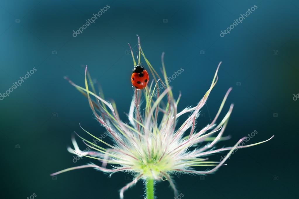 Good vantage point — Stock Photo © KrzysztofWinnik #106256038