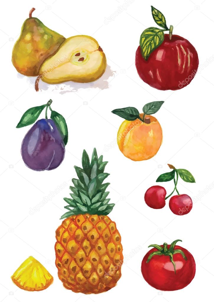 Set of vector watercolor fruits Stock Vector Image by ©fnina2015.gmail ...