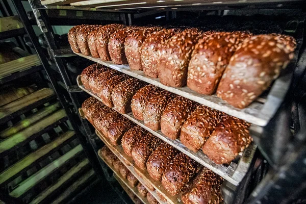 Bread factory Stock Images - Search Stock Images on Everypixel