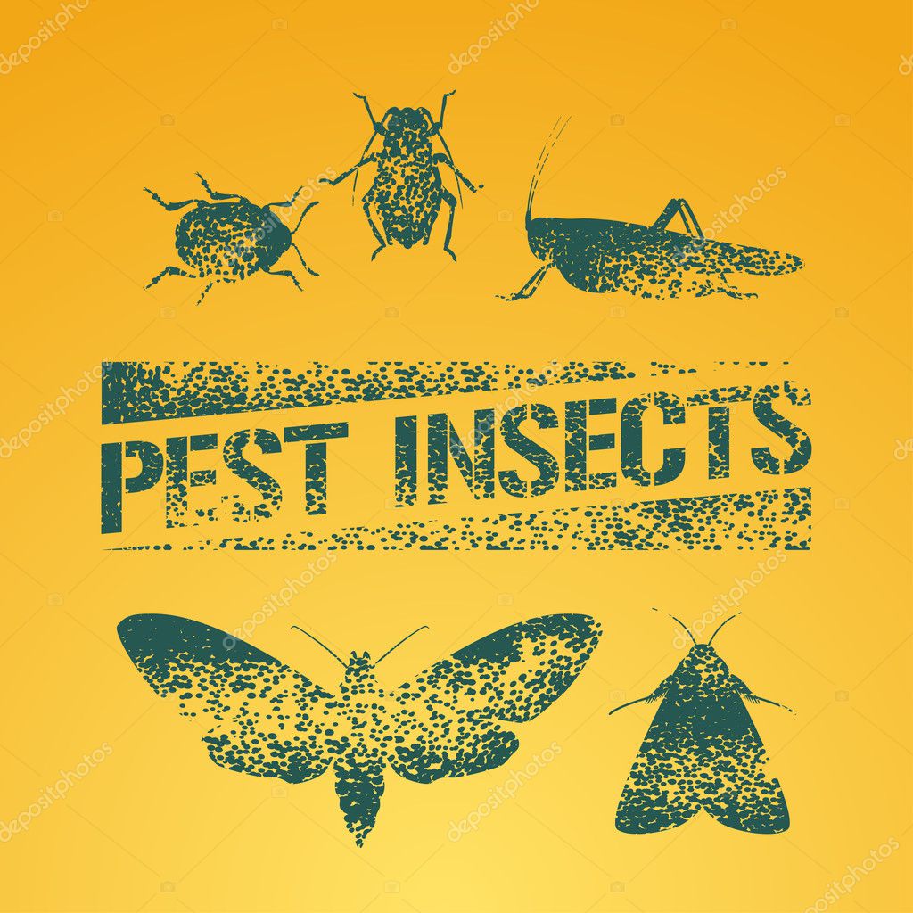 Set of pest insects vector illustration Stock Vector Image by ...