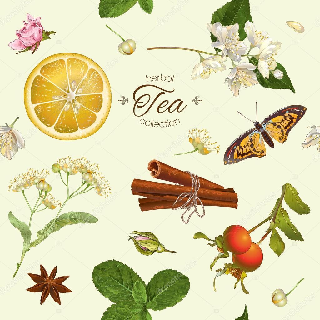 Vector herbal tea pattern Stock Vector by ©PurpleBird18 116483222