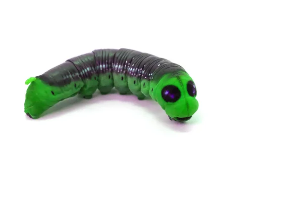 Glowworm Stock Photos, Royalty Free Glowworm Images | Depositphotos