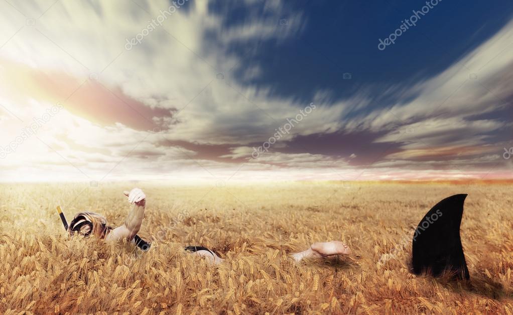 Woman has a close encounter with a shark in a field of wheat — Stock ...