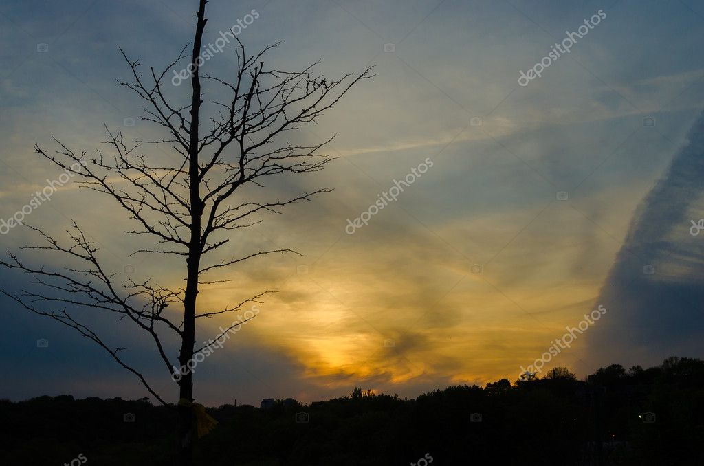 Skyline de Toronto, Canadá, con puesta de sol en la primavera desde ...