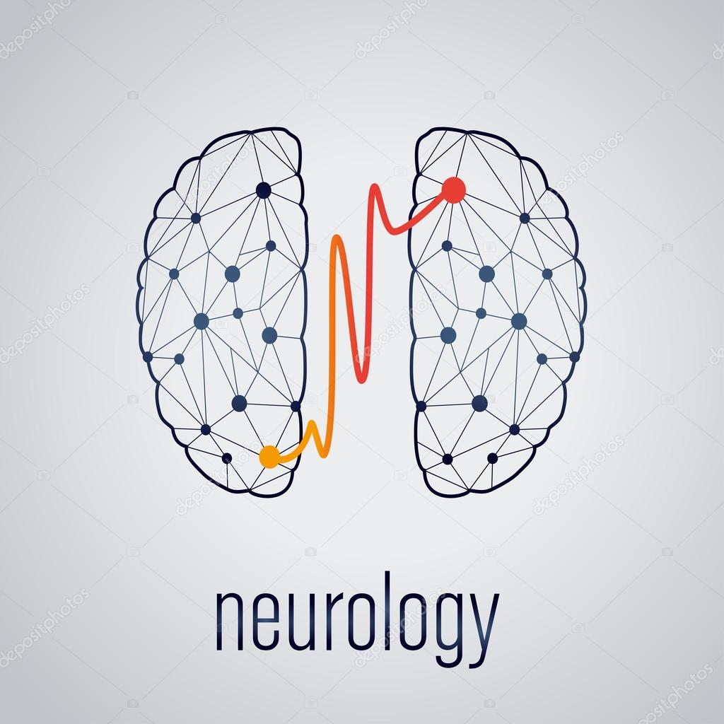 Abstract creative neurology concept with human brain — Stock Vector ...