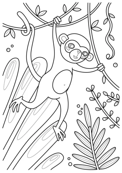 원숭이 색칠공부 Stockvektorer, royaltyfria 원숭이 색칠공부 illustrationer | Depositphotos