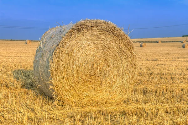 Straw bridge Stock Photos, Royalty Free Straw bridge Images | Depositphotos