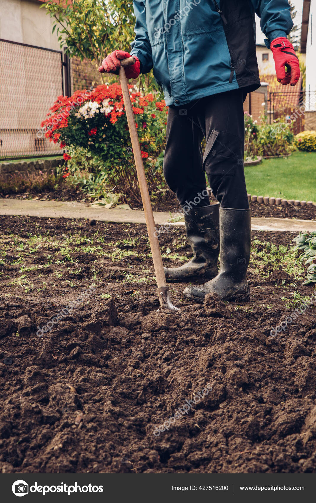 Gardener Takes Break Digging Whole Garden Manual Work Agriculture ...