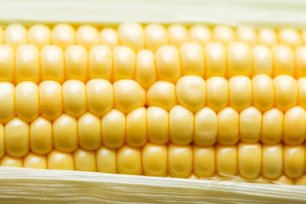 Corn head Pictures, Corn head Stock Photos & Images | Depositphotos®