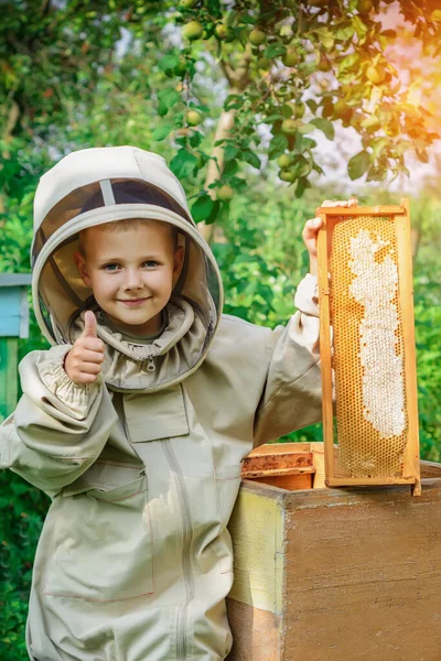 Young beekeeper Stock Photos, Royalty Free Young beekeeper Images ...