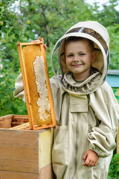 Young beekeeper Stock Photos, Royalty Free Young beekeeper Images ...