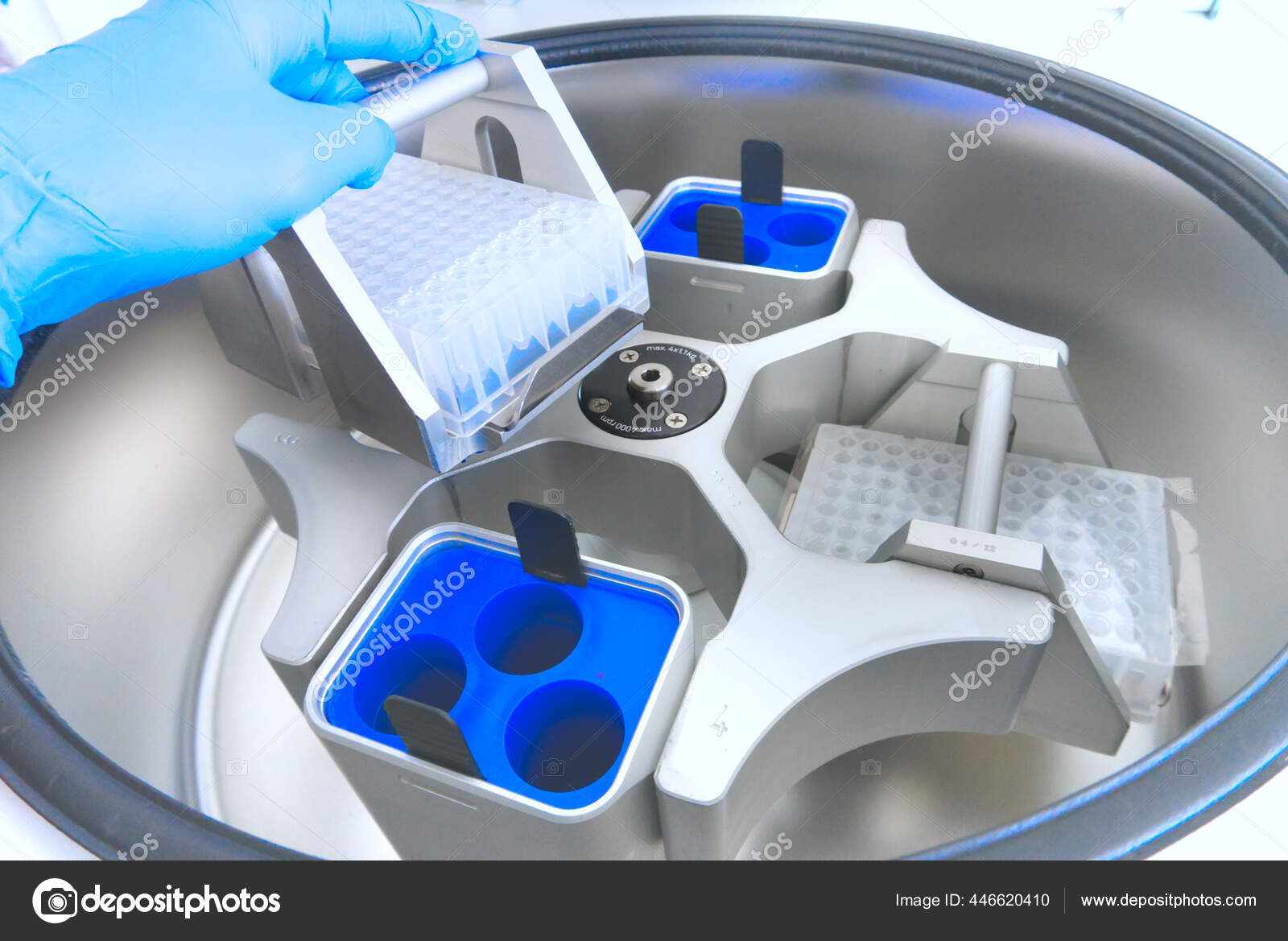 Scientist Puts Test Tubes Centrifuge Automation Clinical Laboratory ...