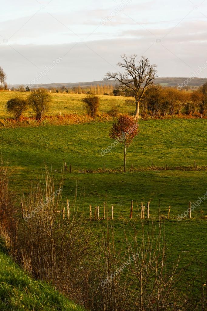 Green fields with trees — Stock Photo © hzparisien@gmail.com #100431822
