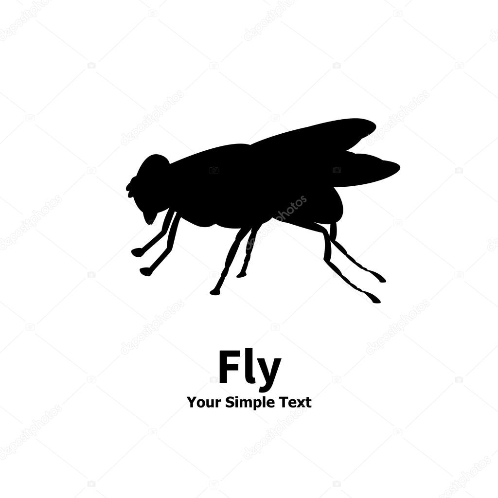 Ilustración vectorial de una silueta de una mosca 2023