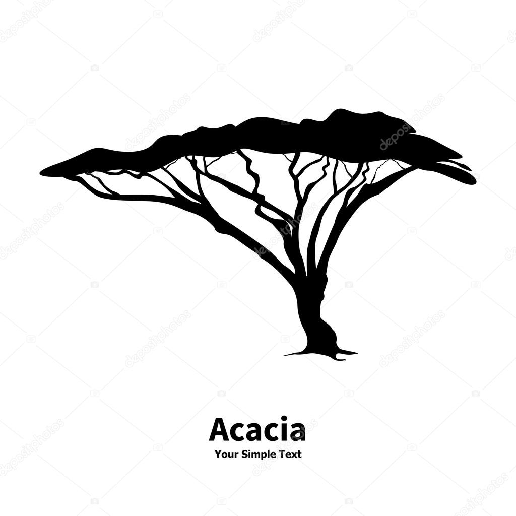 Vector illustration silhouette of an acacia Stock Vector Image by ...