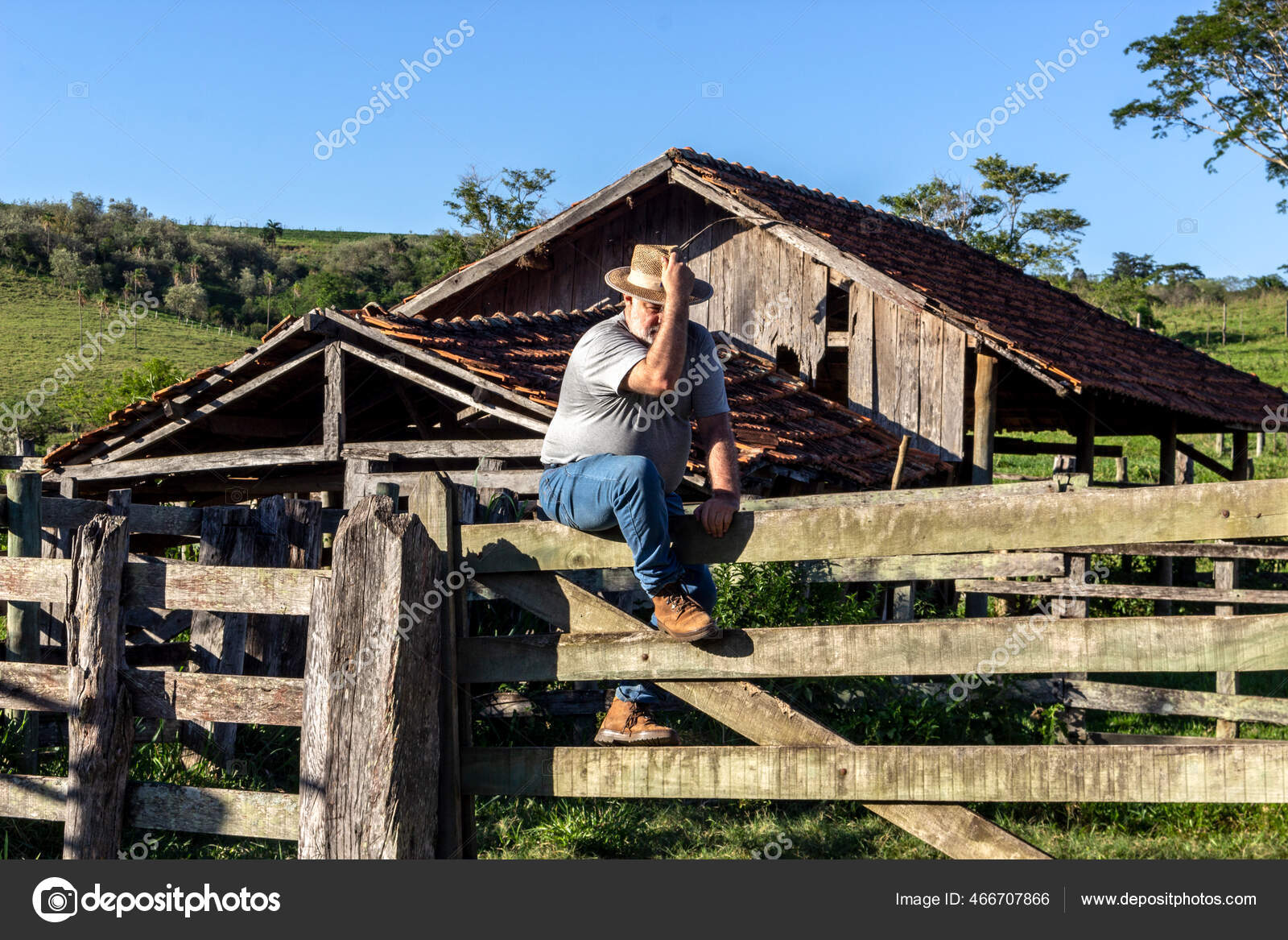 Middle Aged Farmer Cattle Rancher Observes Old Corral Place Animals ...
