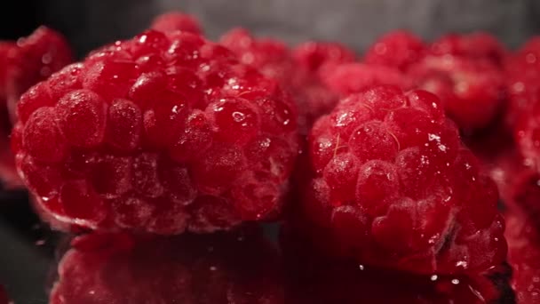 14,518 Extreme macro Videos, Royalty-free Stock Extreme macro Footage ...