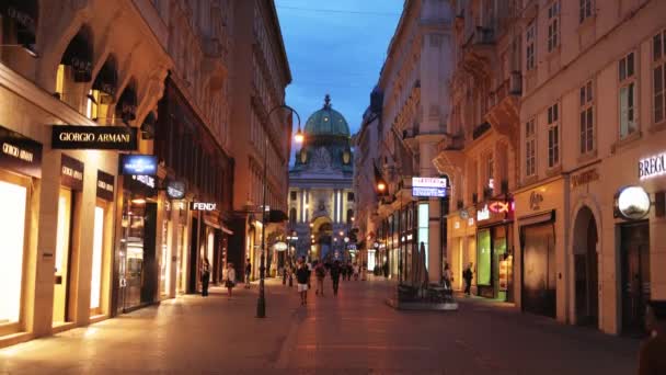 Pedestrian Zone Vienna View Imperial Palace Vienna Austria August 2021 ...