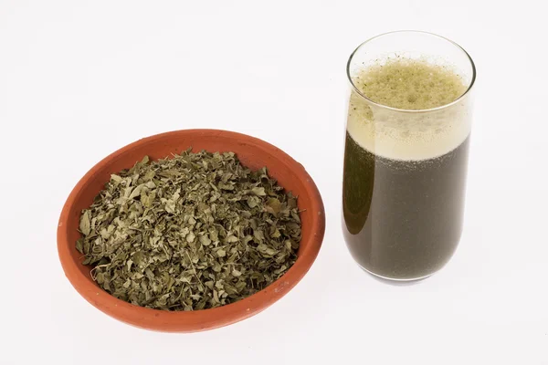 Moringa drink medicinal plant Stock Photo by ©gonzalocallefotografia ...