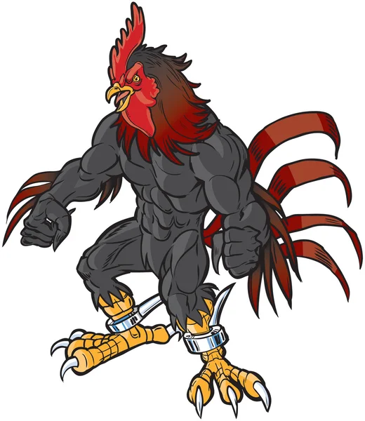 Angry rooster Vector Images | Depositphotos