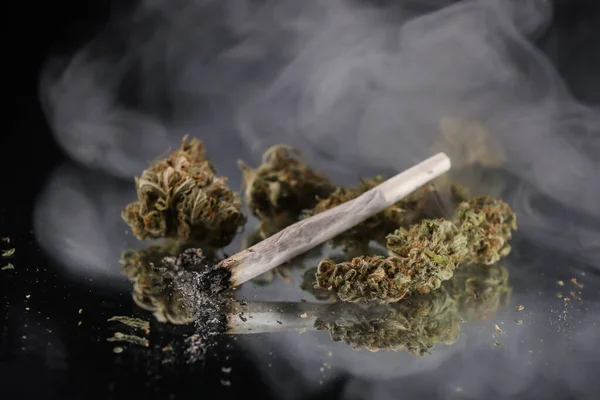 Cannabis Branch Joint Smoke Black Background Marijuana Legalization ...