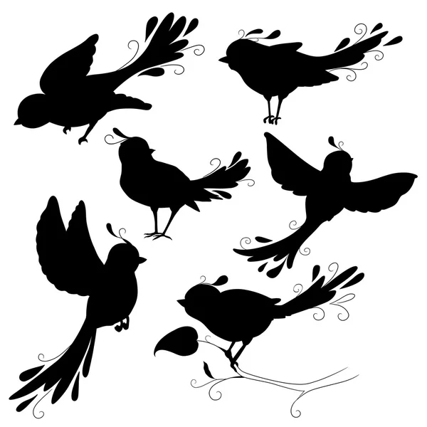 Flying Robin Silhouette