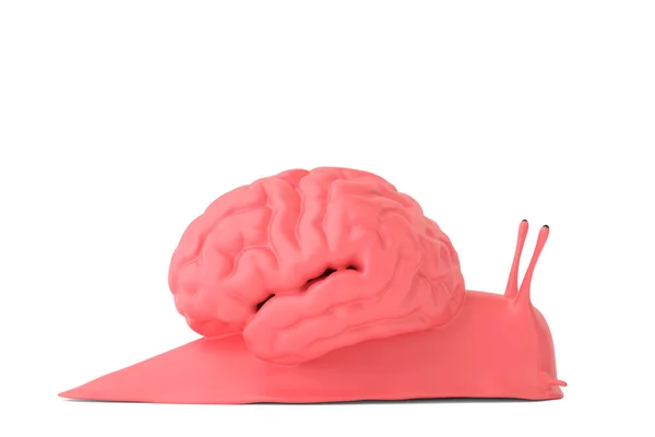 Model of the brain Stock Photos, Royalty Free Model of the brain Images ...