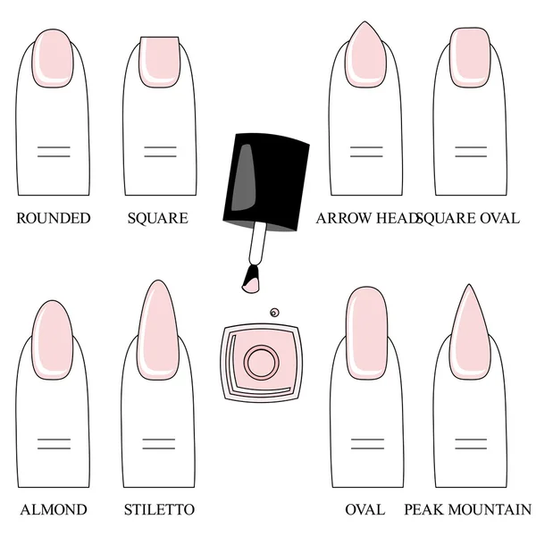Nails shape Vector Art Stock Images | Depositphotos
